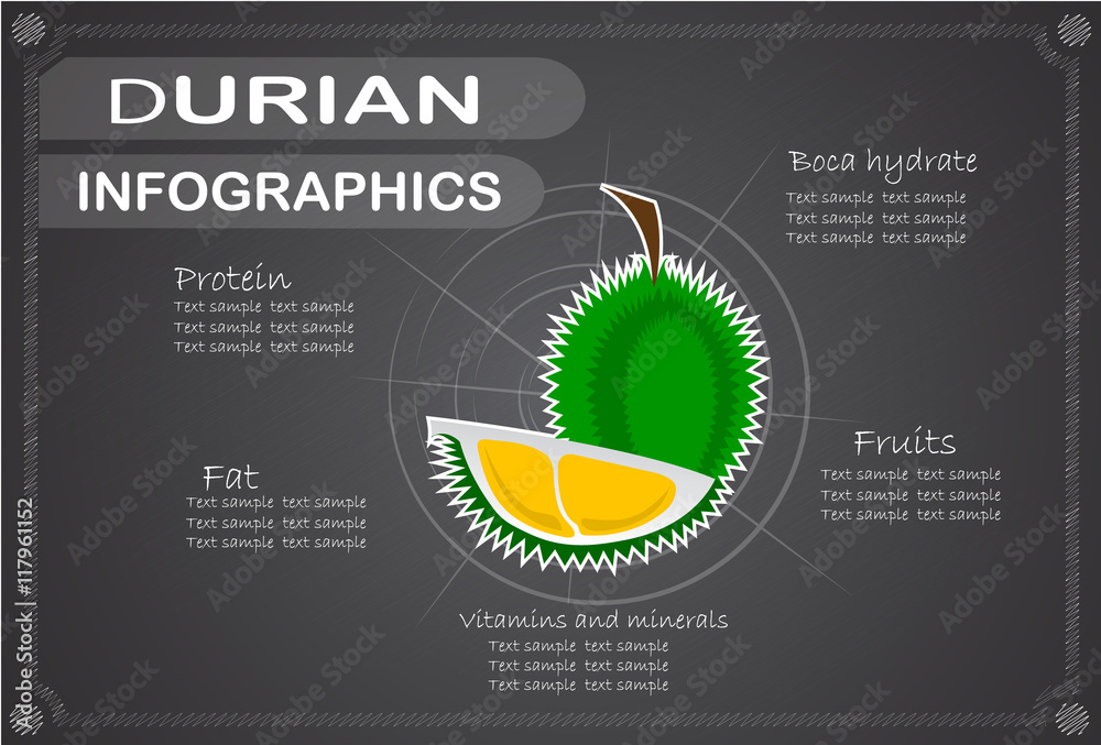 Durian Infographics , Fruit . vector illustration Stock Vector | Adobe ...