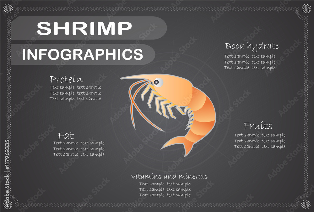 Shrimp Infographics, Vector illustration. Stock Vector | Adobe Stock