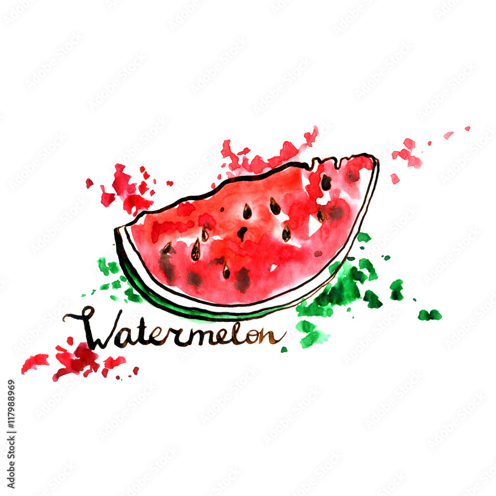 hand drawn watermelon Stock Illustration | Adobe Stock