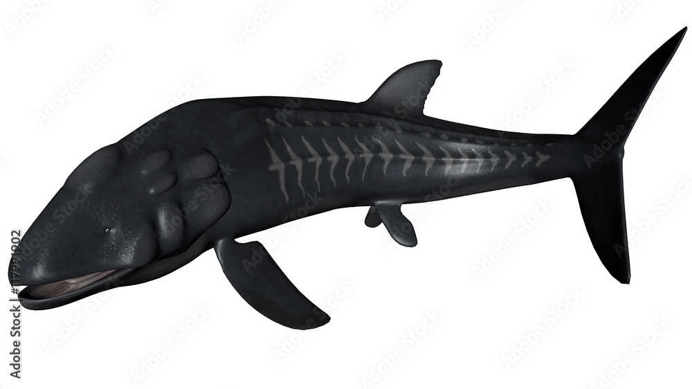 Leedsichthys prehistoric fish - 3D render Stock Illustration | Adobe Stock