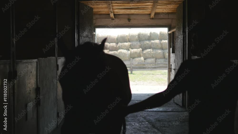 Young jockey is walking with a horse at the stable. Man leading horse ...