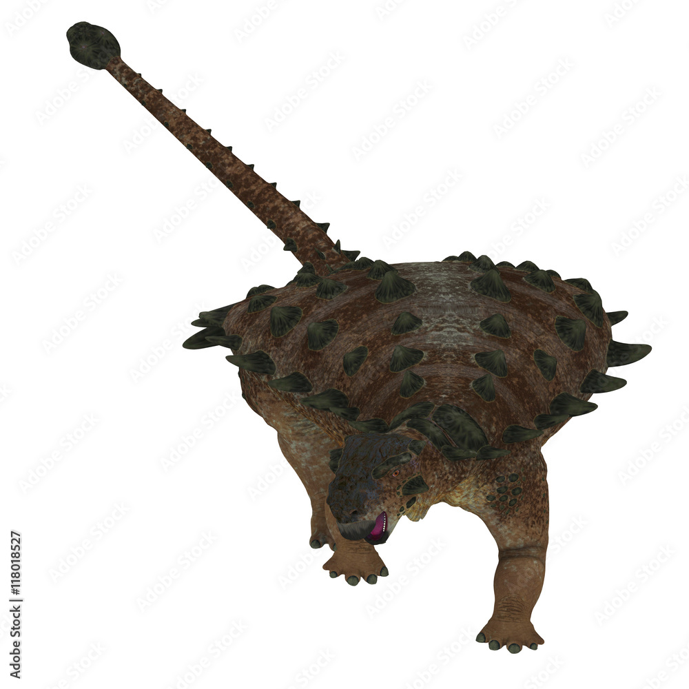 Pinacosaurus Dinosaur on White - Pinacosaurus was a herbivorous ...