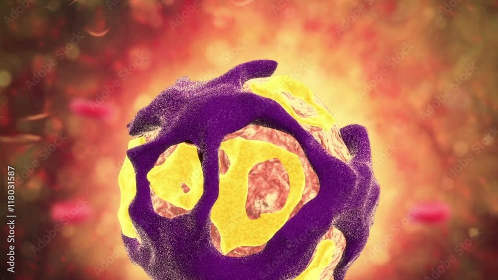 Microscopic visualization of the dengue virus. The dengue virus is a ...