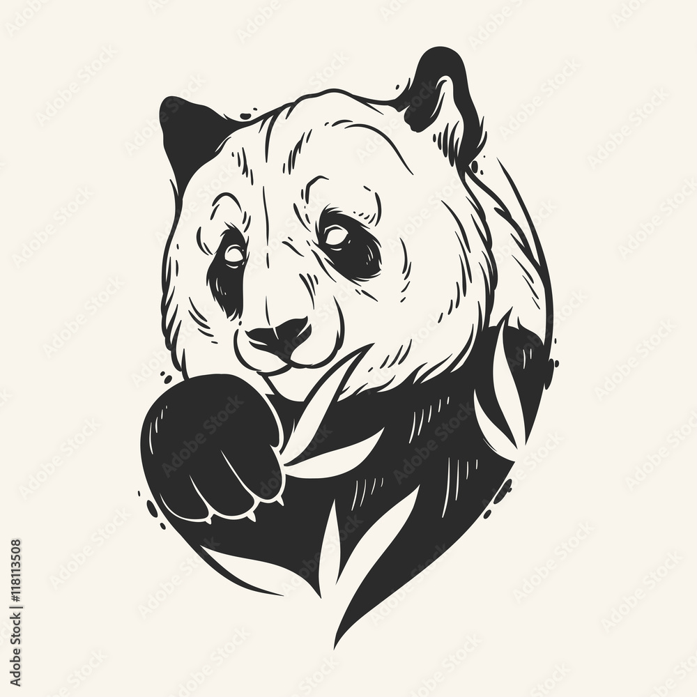 Abstract Panda Drawing