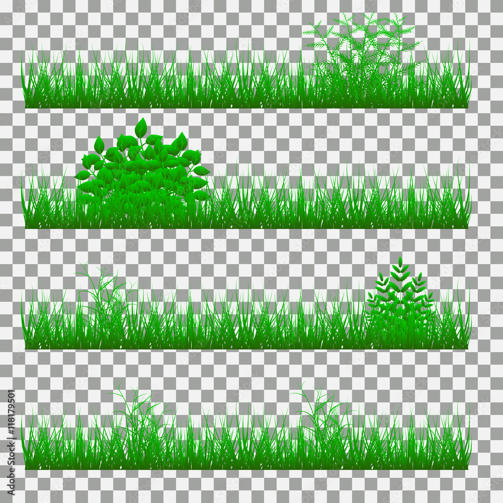 grass, shrubs. A set of various types of grass. Set of grass on a ...