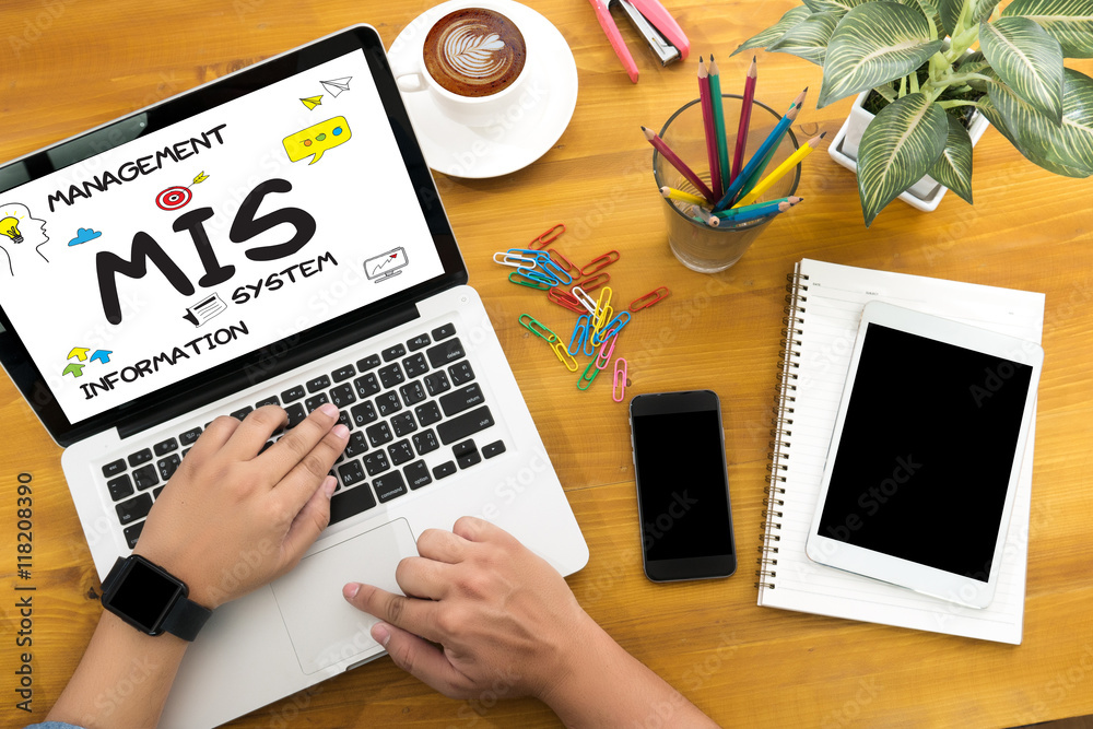 MIS Management Information System Data Development Information Stock ...