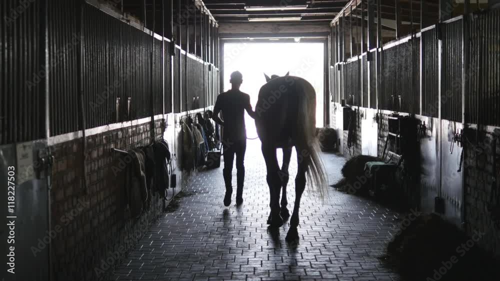 Young jockey is walking with a horse out of a stable. Man leading horse ...