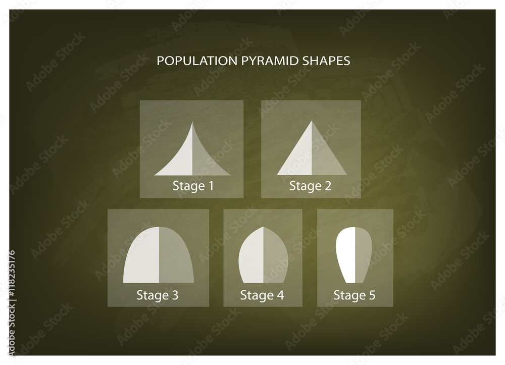 Different Types of Population Pyramids on Chalkboard Background Stock ...
