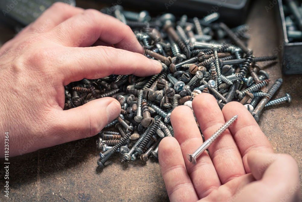 Pair of hands, one screw standing out from pile of different sized ...