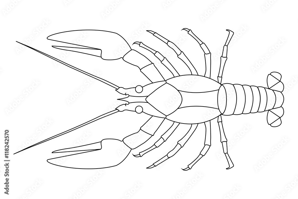 Lobster. Contour outline Stock Vector | Adobe Stock