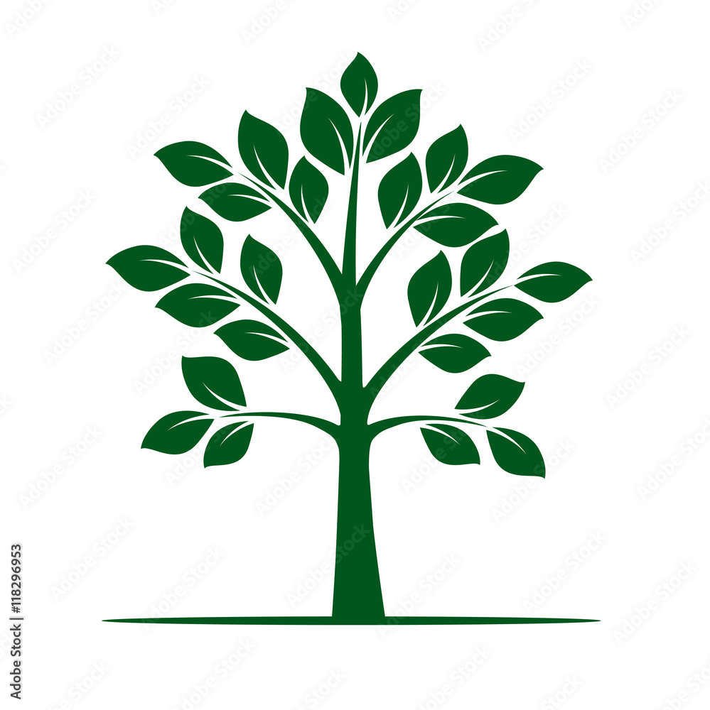 Shape of Green Tree. Vector Illustration. Stock Vector | Adobe Stock