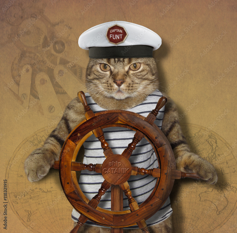 The cat was a ship captain. He stands at the helm of the ship. Stock ...