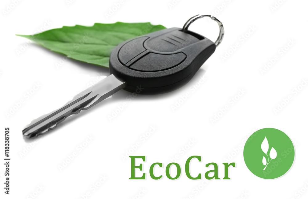 Car key with green leaf trinket and text ecocar on white background ...