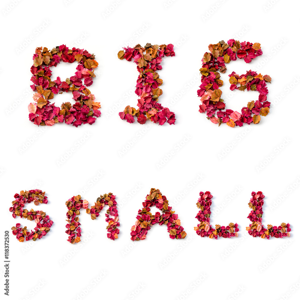 alphabet letters of big and small on white background Stock Photo ...