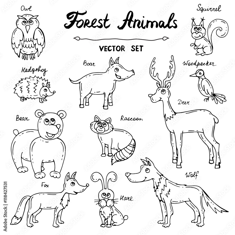 Vector set with hand drawn isolated doodles on the theme of forest ...