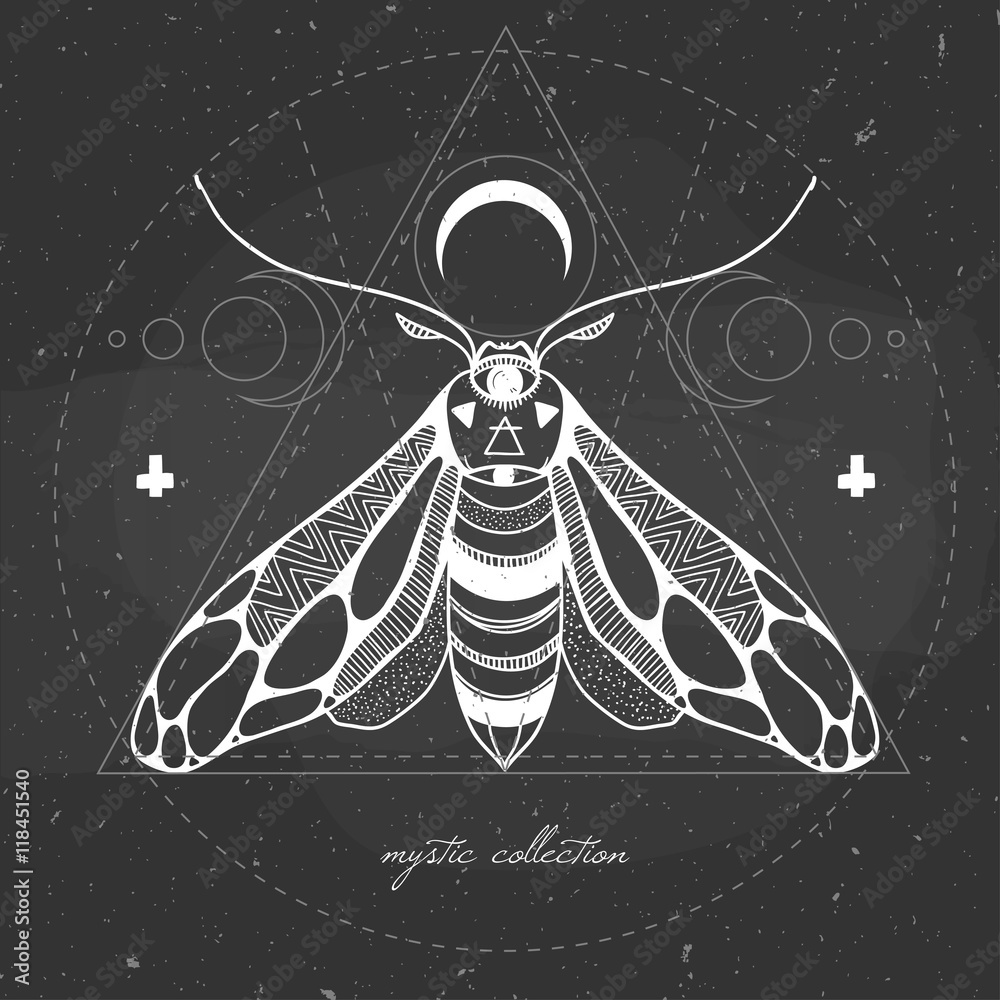 black and white mystic moth Stock Vector | Adobe Stock
