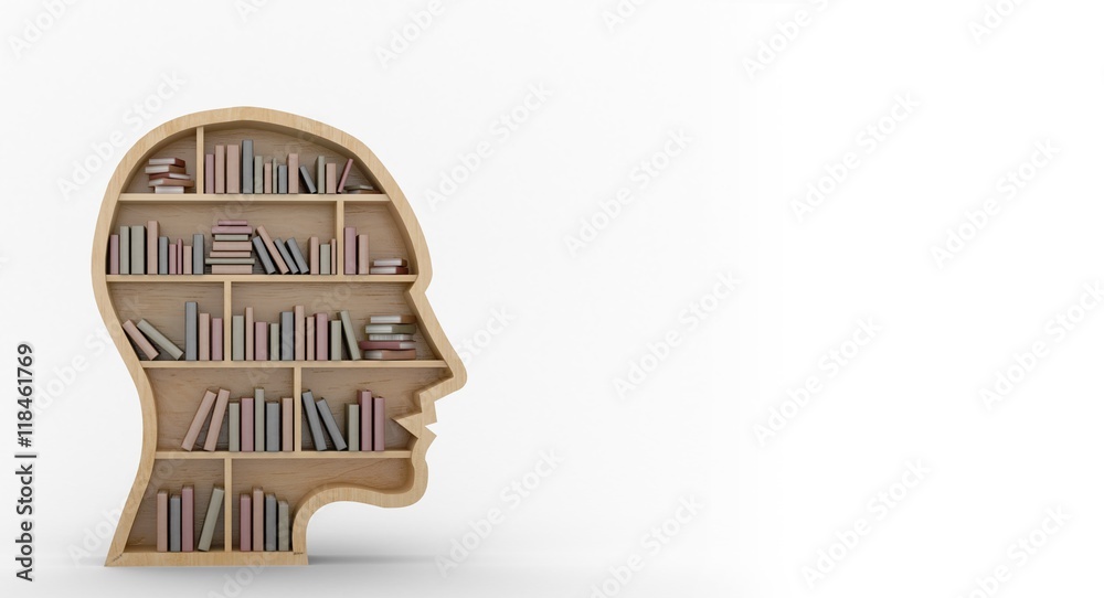 Human face shape bookshelves on white background Stock Illustration ...