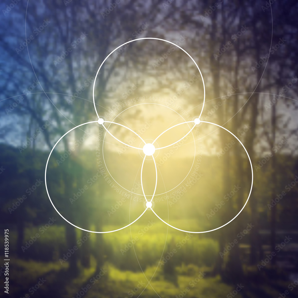 Flower of life - the interlocking circles ancient symbol. Sacred ...