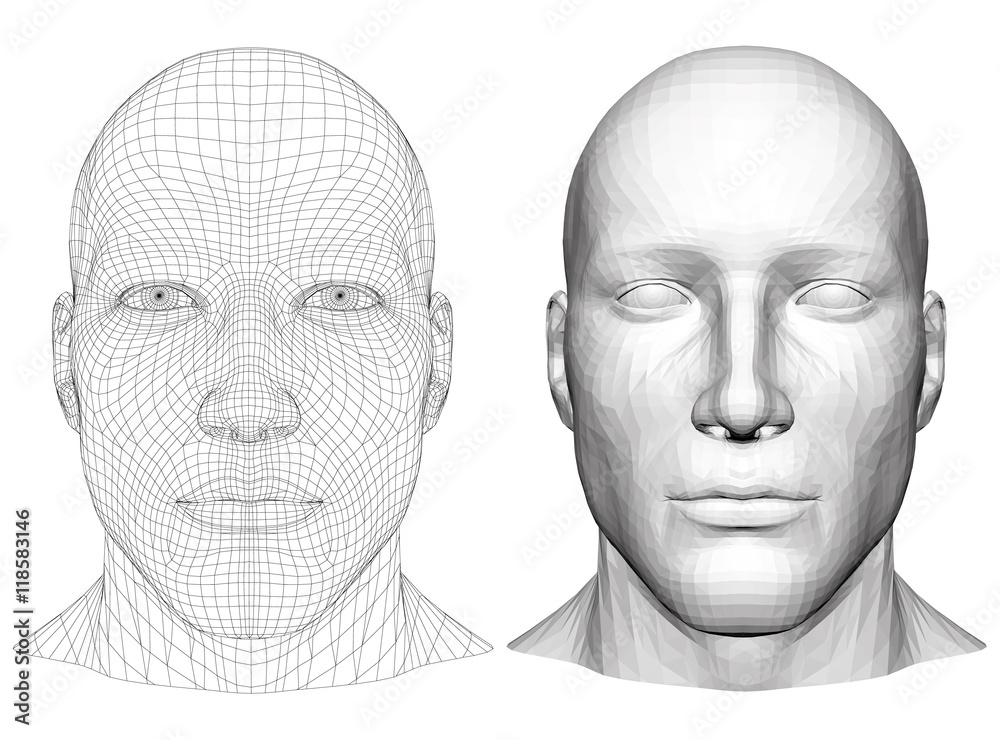 Polygonal head Stock Vector | Adobe Stock