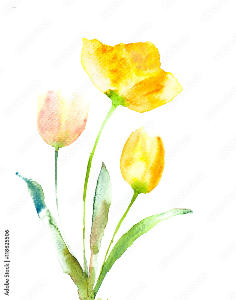 Beautiful tulip on white, watercolor flower painting Stock Illustration ...