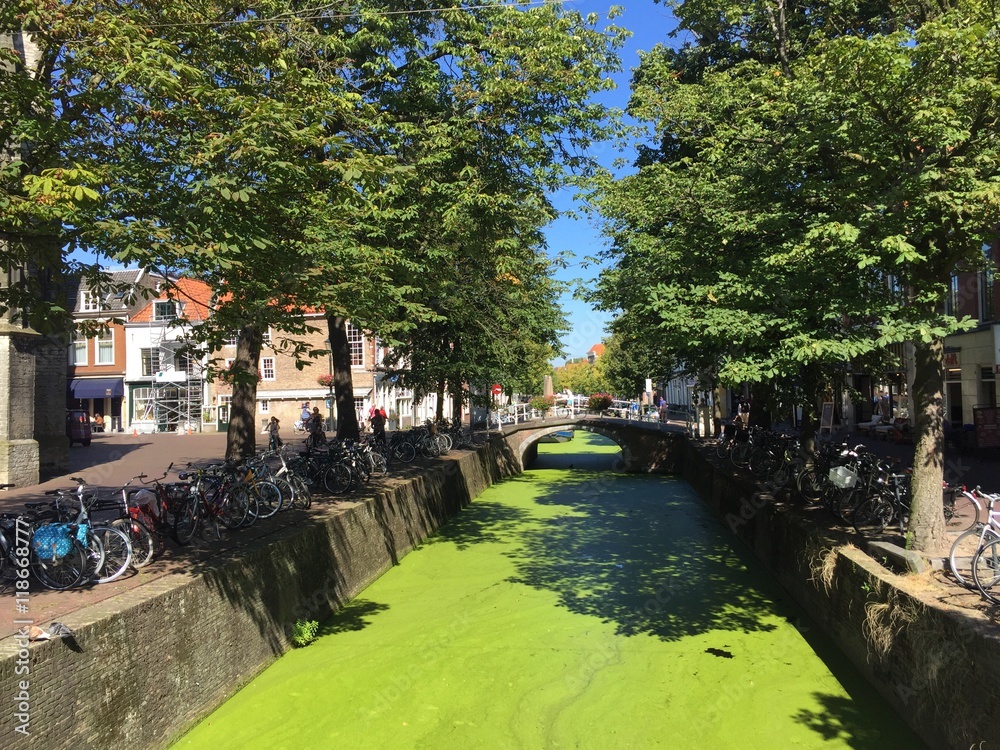 Verde canale di Delft, Olanda Stock Photo | Adobe Stock