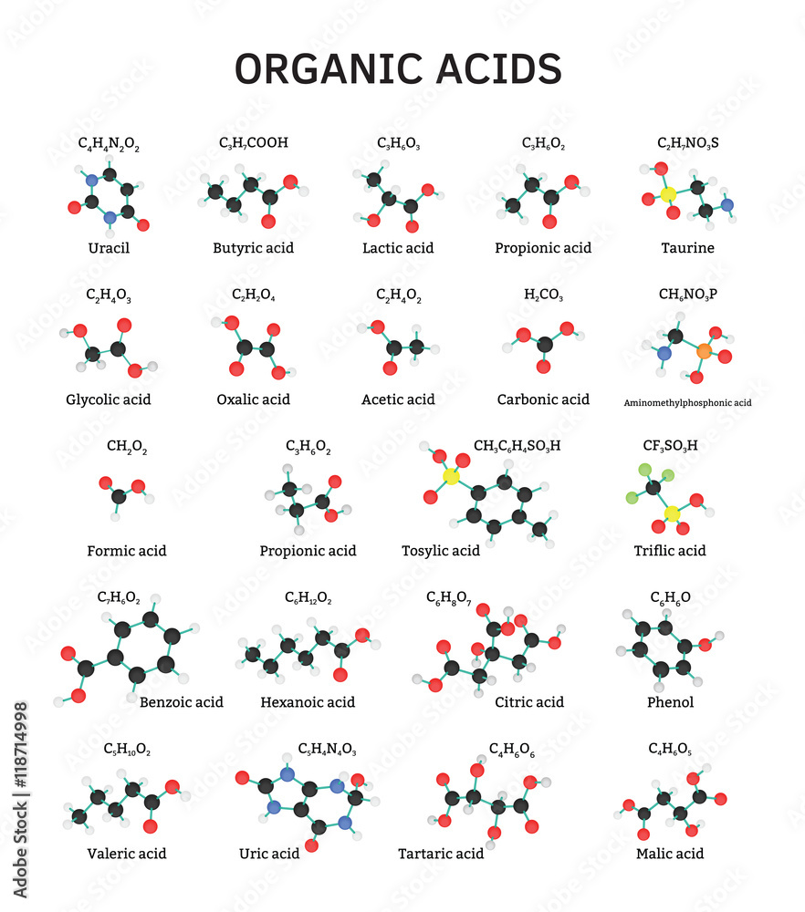 Organic acids molecules set Stock Vector | Adobe Stock