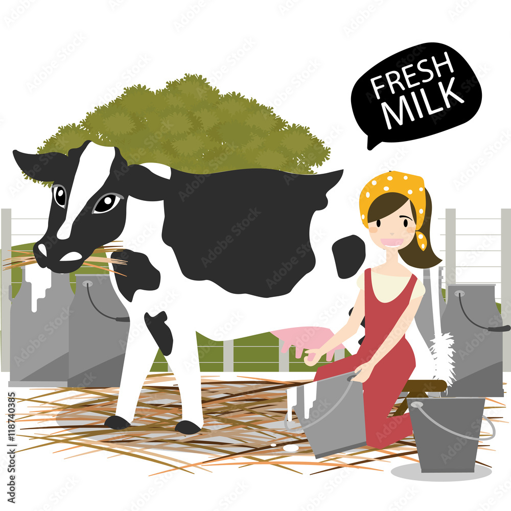 Milking of a cow.vector/Illustration Stock Vector | Adobe Stock