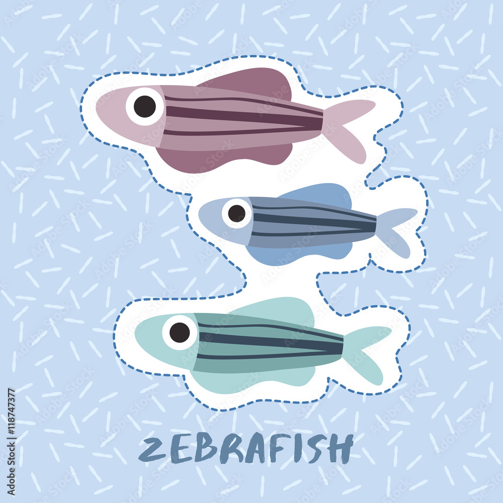 Zebrafish : Cute Animal Set : Vector Illustration Stock Vector | Adobe ...