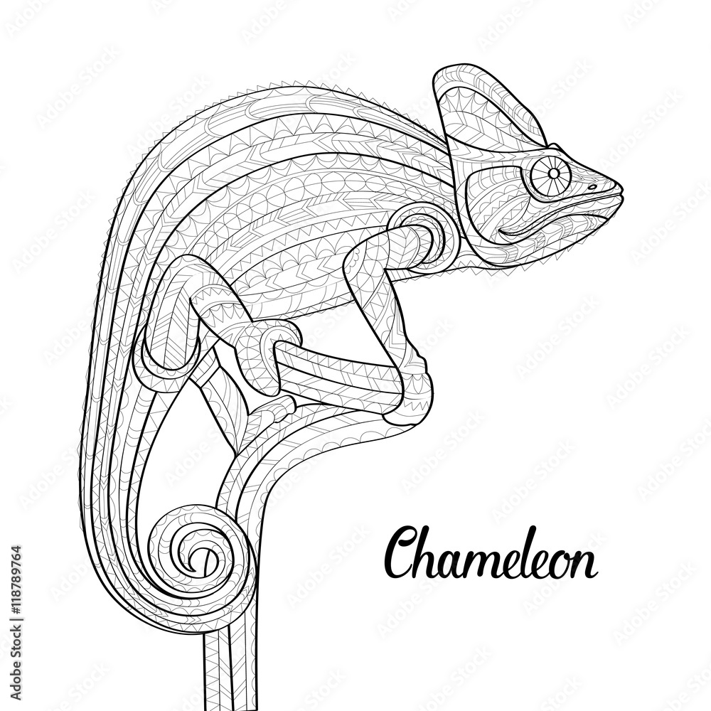 Chameleon Outline