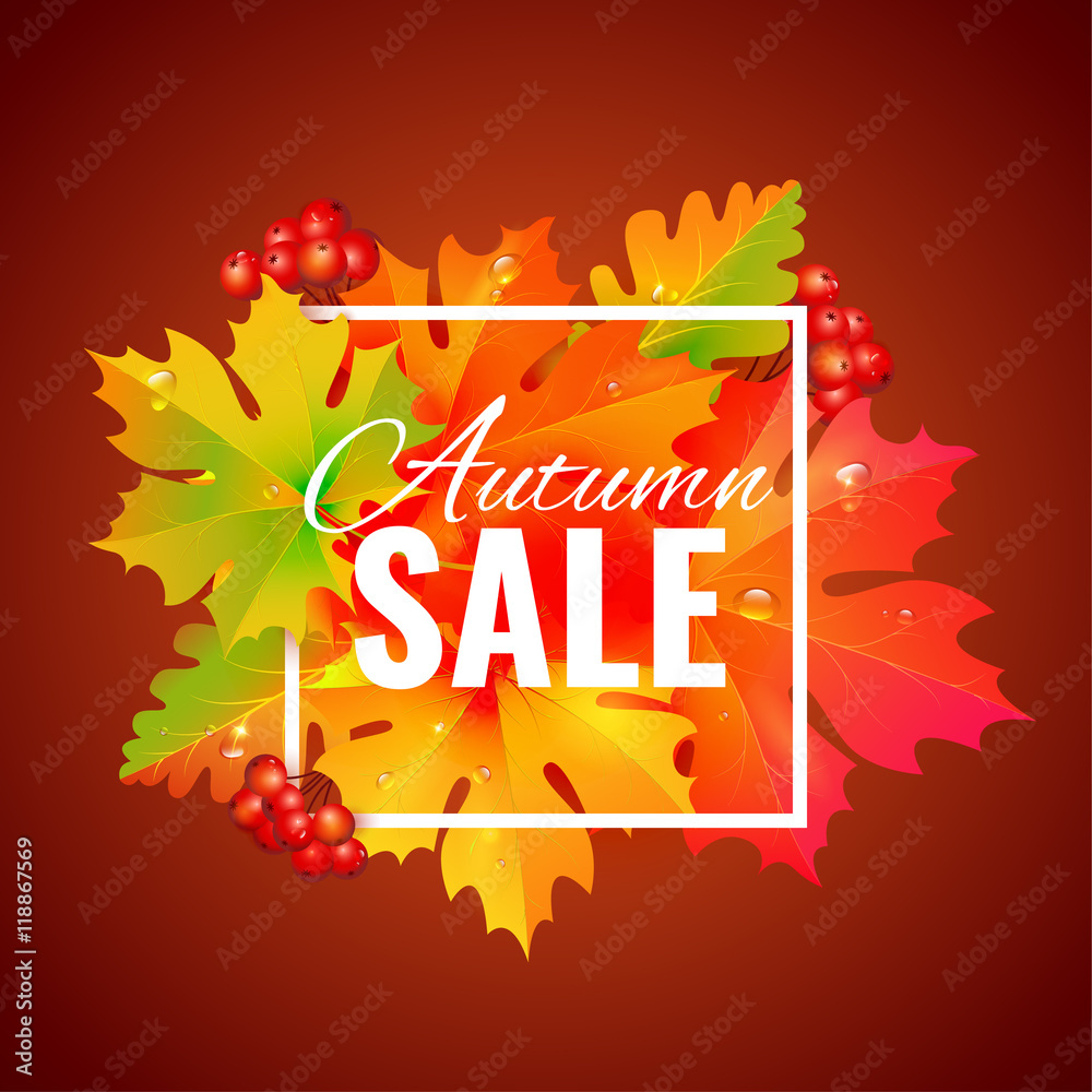 Autumn sale collection Stock Vector | Adobe Stock