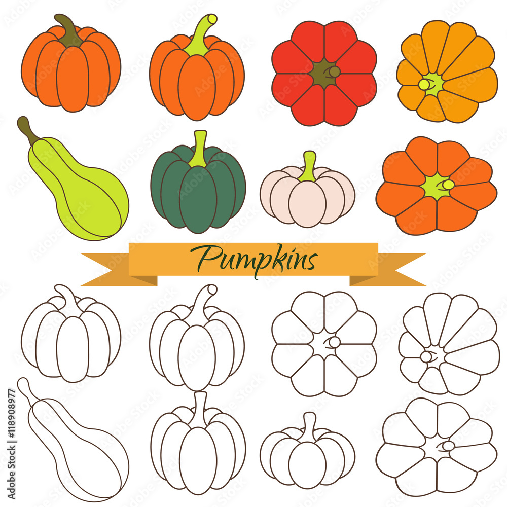 Set of pumpkin vegetable vector clip art. Orange and green pumpkin line ...