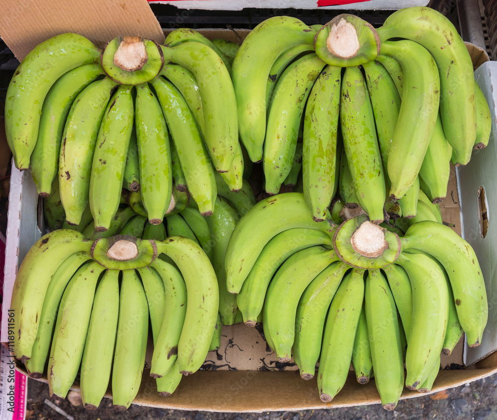 Gros Michel Banana