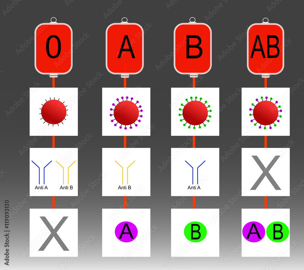 Blood type: 0AB classification Stock Vector | Adobe Stock