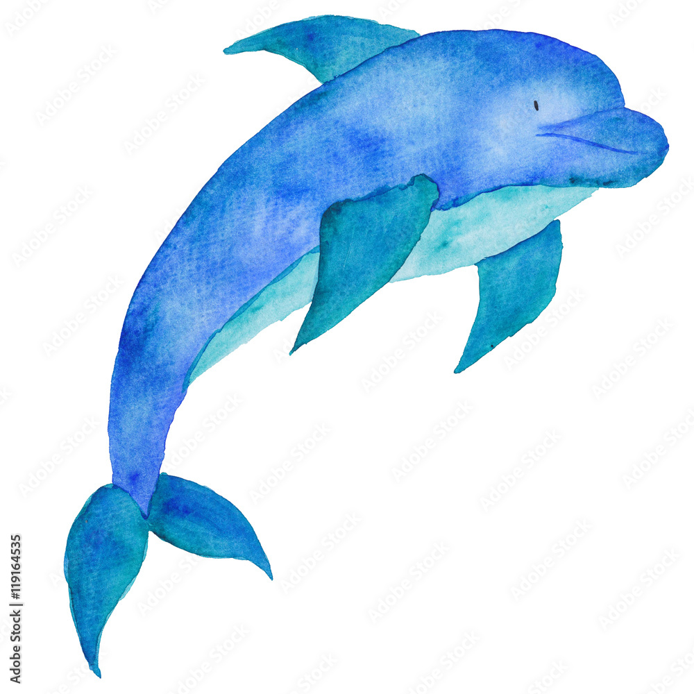 Dolphin Sea Animal Ocean Nautical Blue watercolor Hand-painted ...
