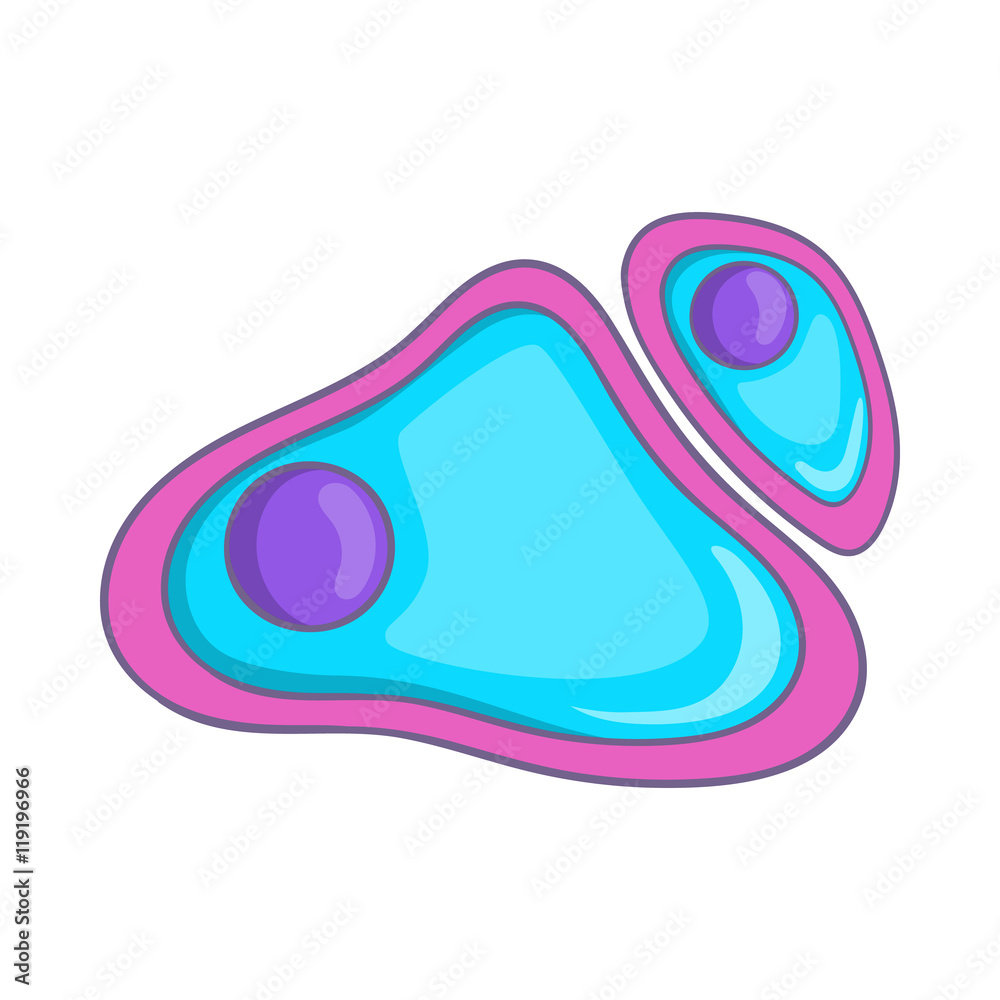 Cell nucleus icon in cartoon style on a white background Stock Vector ...