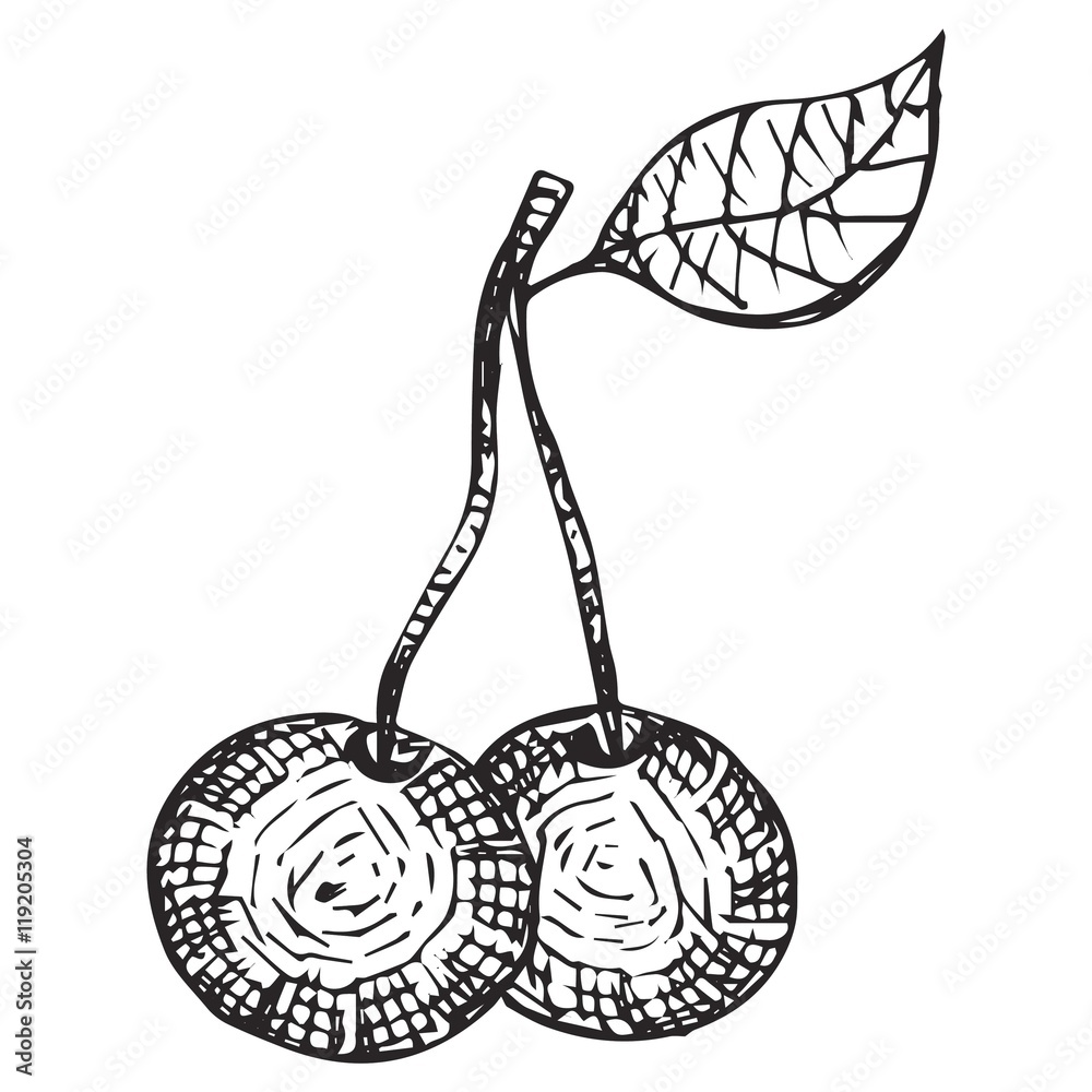 Two cherries drawing Stock Illustration | Adobe Stock