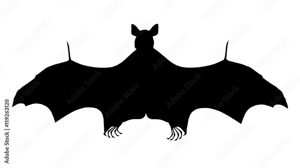 Silhouette einer Fledermaus Stock Illustration | Adobe Stock