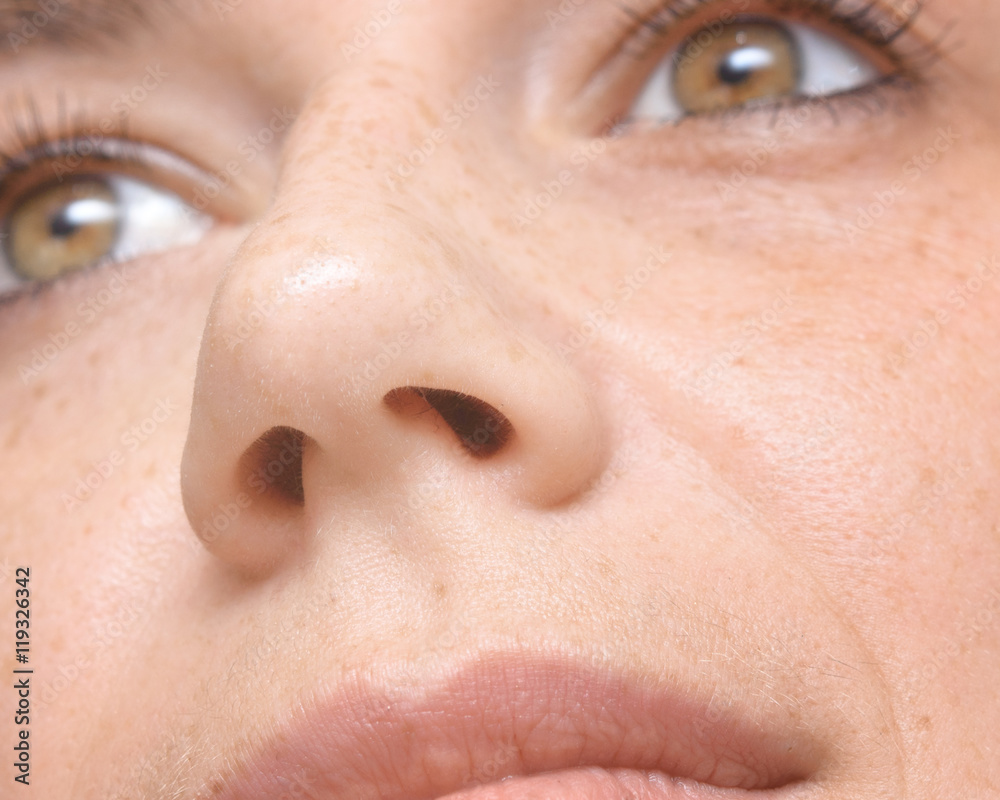 woman nose, macro Photos | Adobe Stock