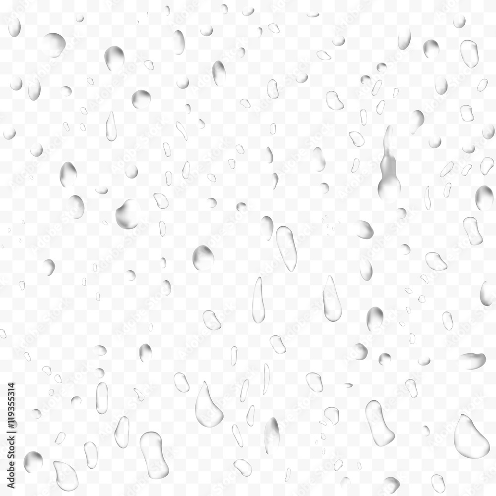 water drops. transparent background. 3d illustration. vector Stock ...