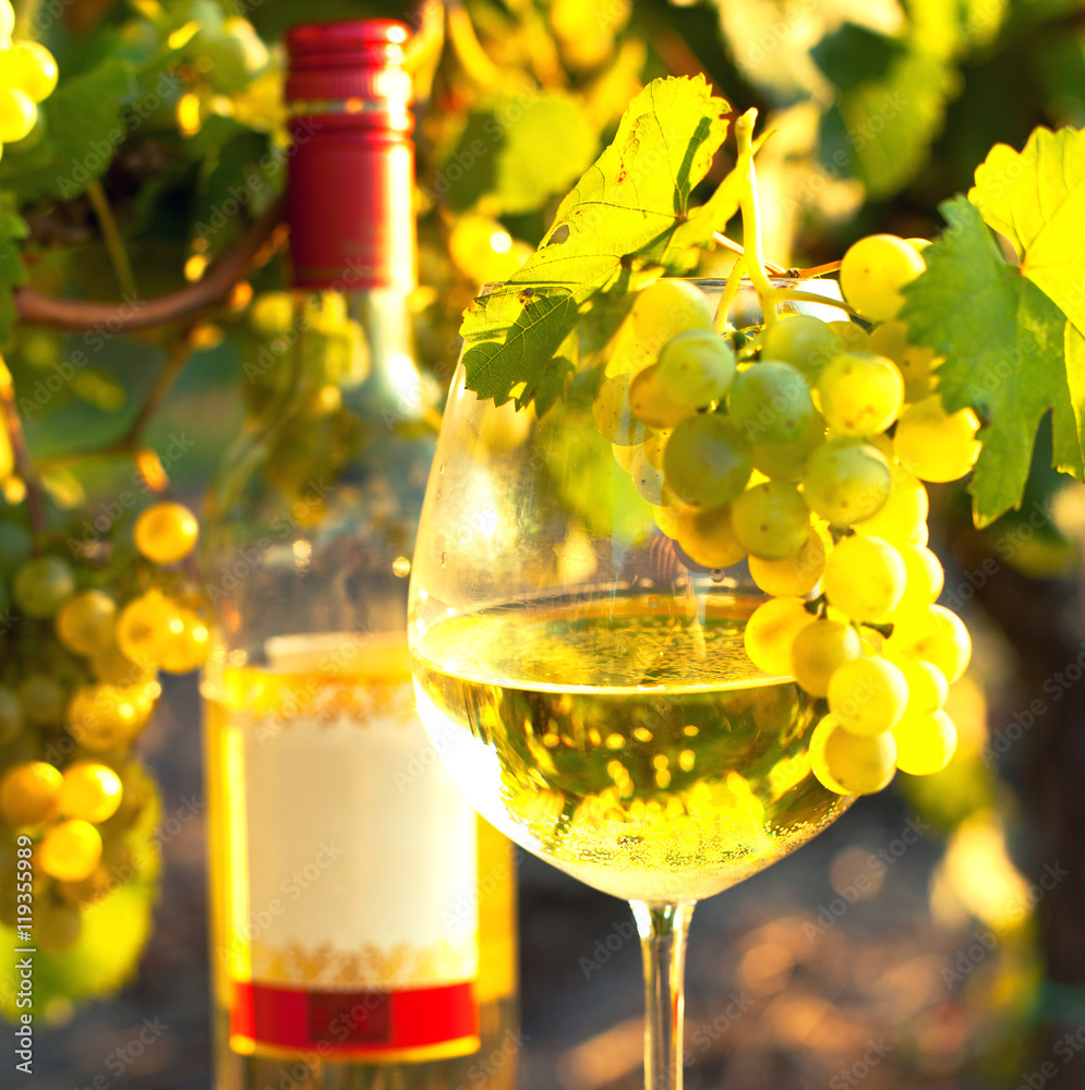 Weinglas und Weinflasche mit frischen Trauben Stock-Foto | Adobe Stock