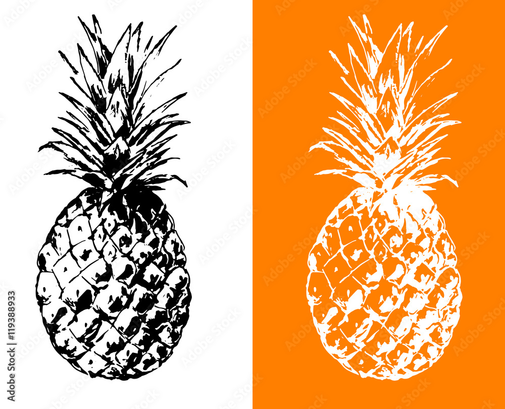 Pineapple illustration, vector hand drawn, outline, stylized symbol ...