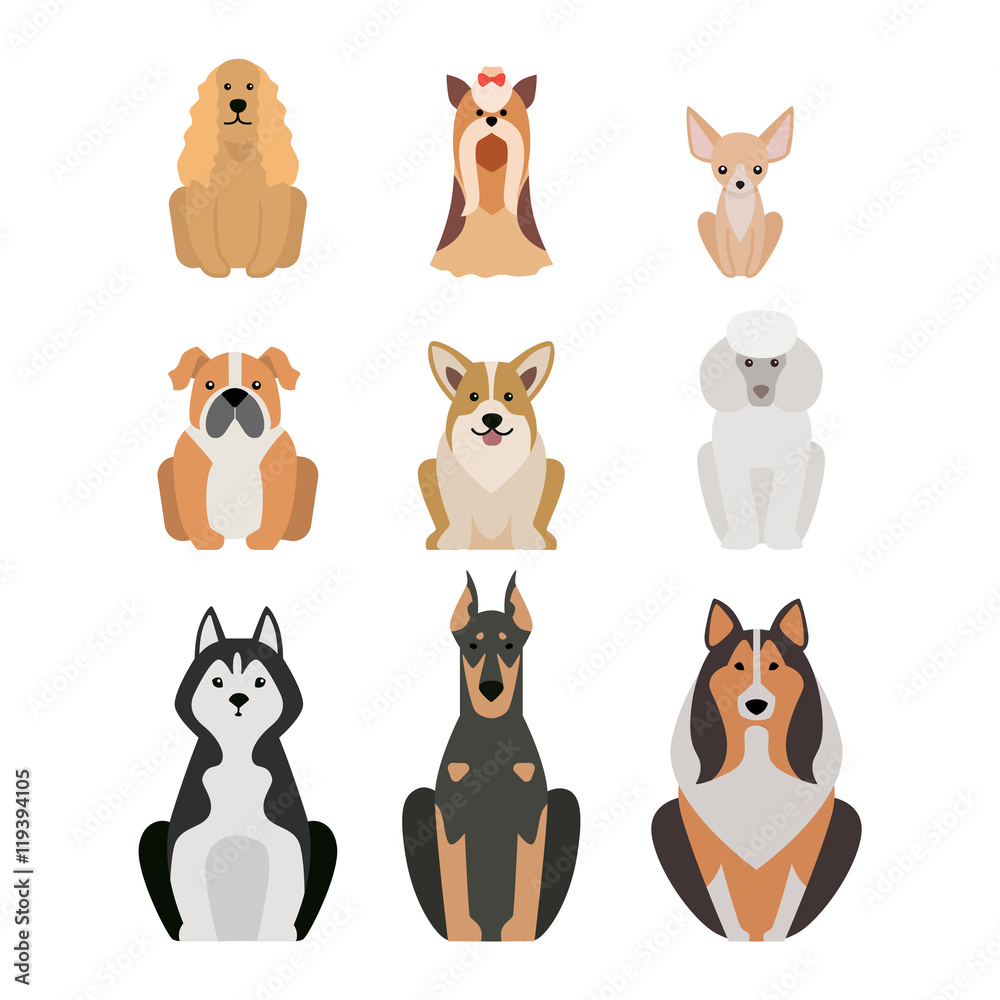 Vector illustration of different dogs breed isolated on white ...