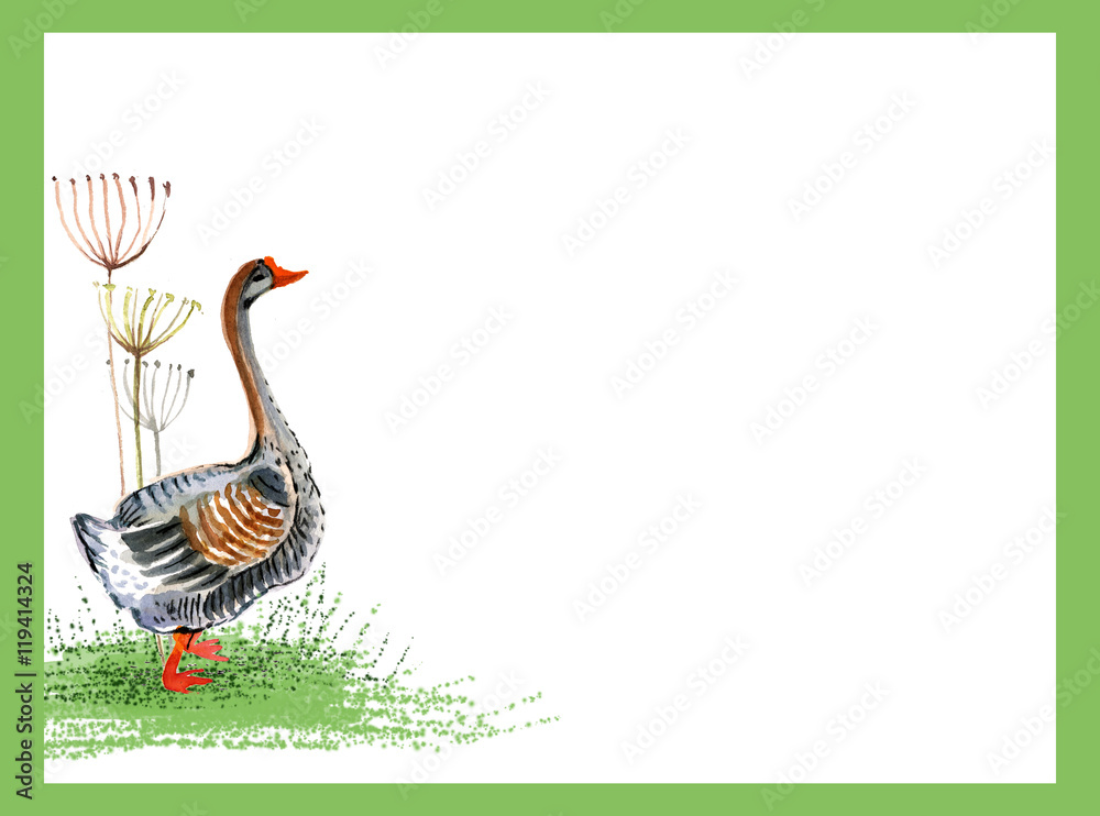goose, flowers, watercolor, postcard Stock Illustration | Adobe Stock