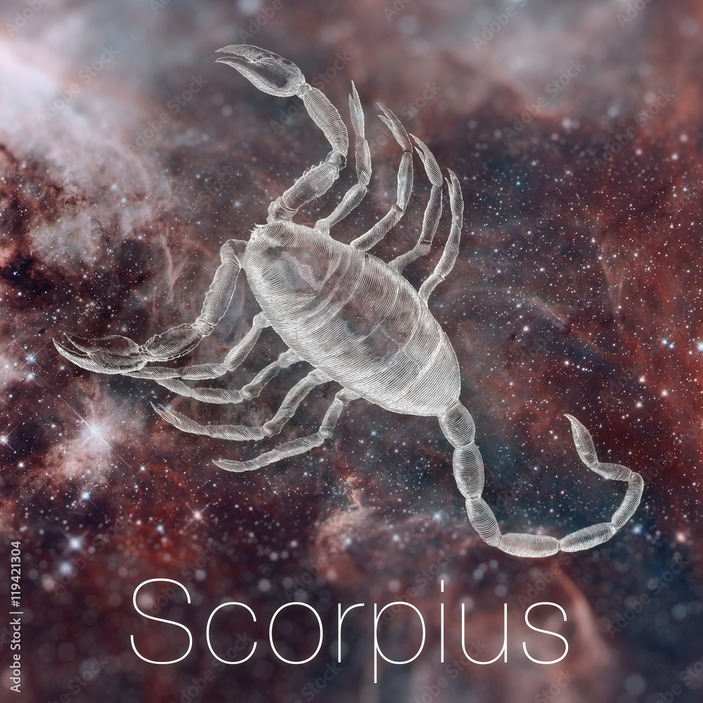Astrological zodiac sign - Scorpius. Vintage astrological drawing ...