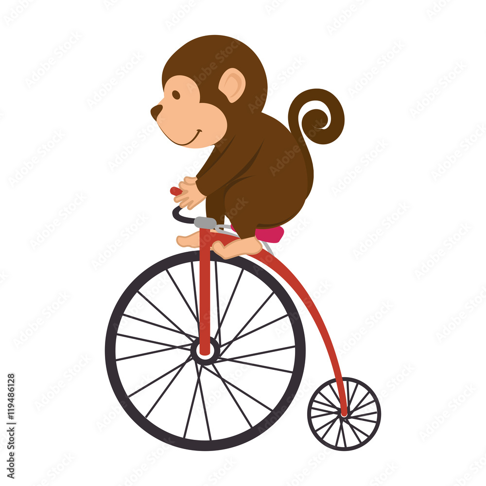 Vecteur Stock monkey smiling riding vintage bicycle animal cartoon ...