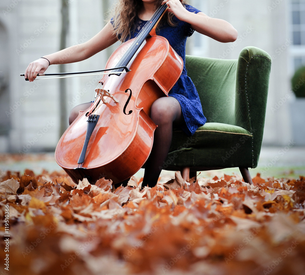 Chello im Park Stock-Foto | Adobe Stock