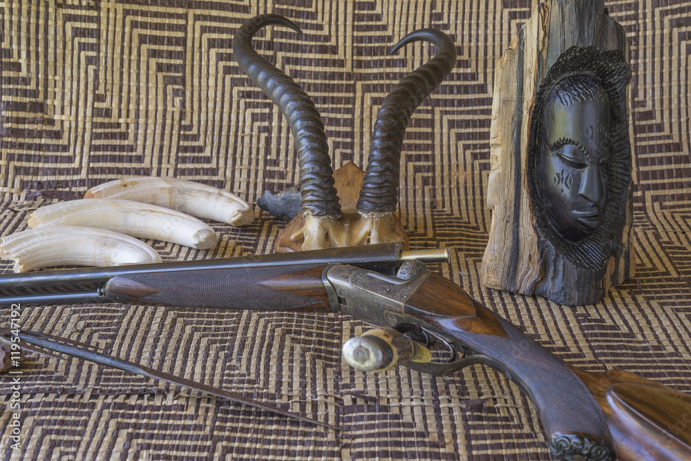 Still life. One hunting gun and african safari trophies on african mat ...