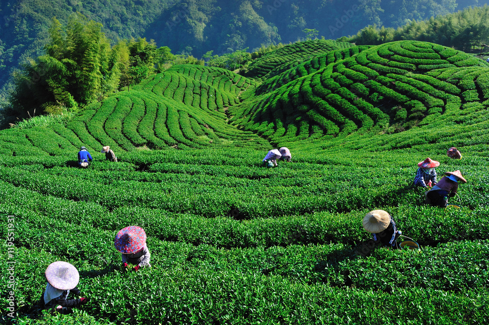 Taiwan landscape Stock Photo | Adobe Stock