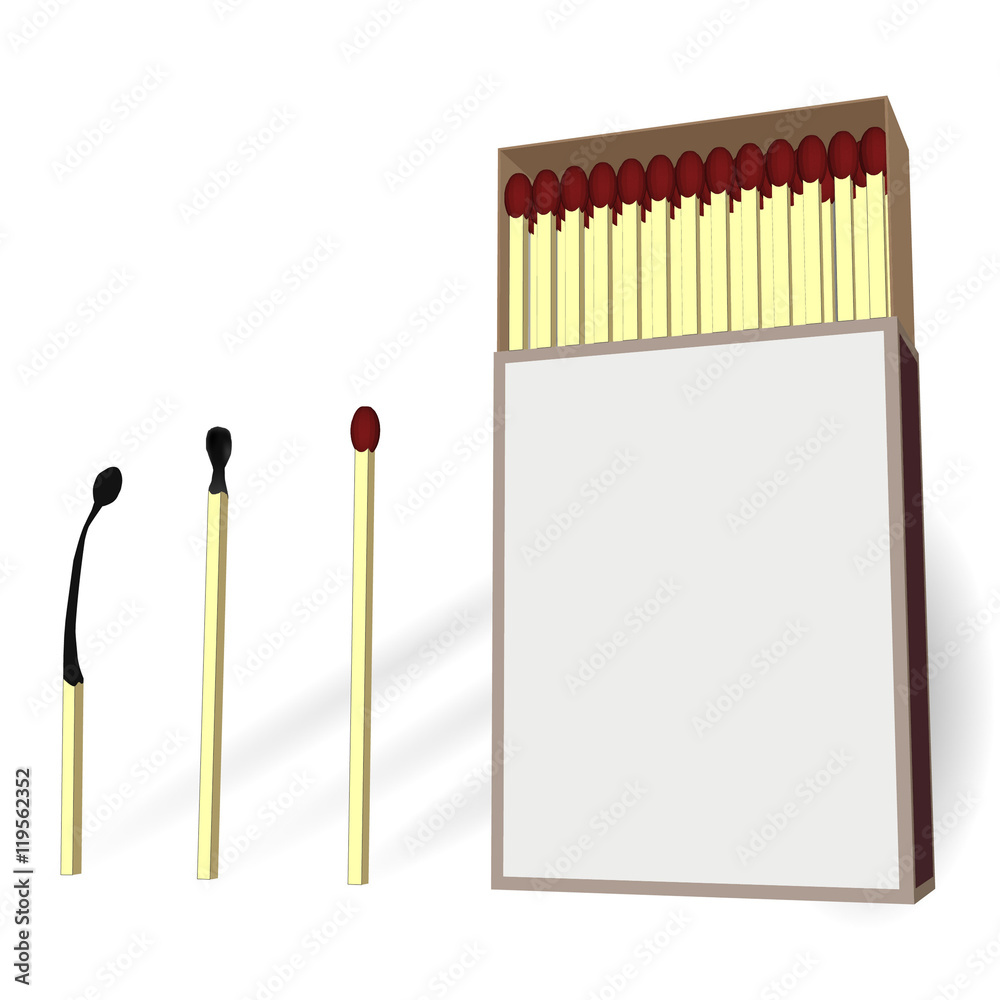 Set of burned Matches at various stages. Opened blank book of matches ...