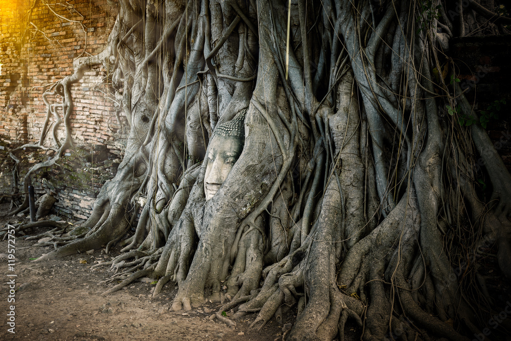 Buddha Head Tree Wat Maha That (Ayutthaya) Stock Photo | Adobe Stock